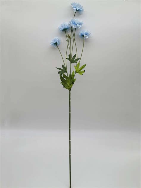 Single Stem Daisy Blue 2 Stems In A Pack24 Or More £1 Each Stem Before Vat Wholesale
