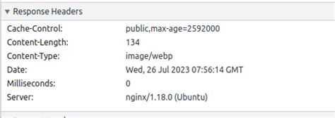 Why Does Google Chrome Not Honor The Caching Headers Stack Overflow