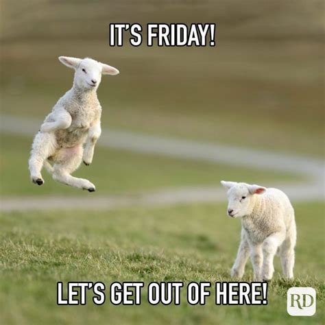 45 Friday Memes That Will Have You Laughing Into The Weekend Funny