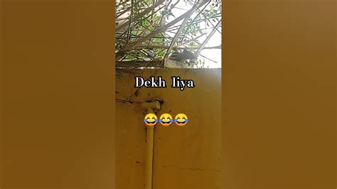 Funny Cute Comedy Shorts Youtubeshorts Viral Youtube