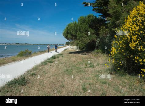 Two Tourists On Bicycles On Coastal Cycle Path At Island Ile D Aix