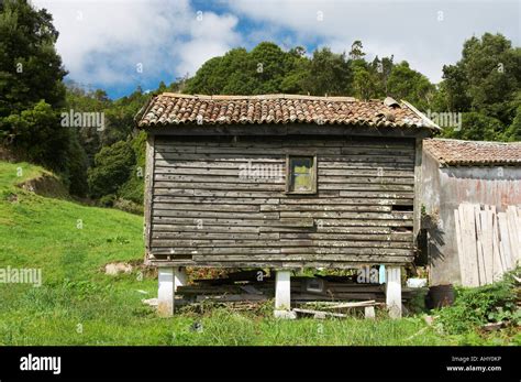 Wooden Barn On Stilts Near Sete Cidades On Sao Miguel Island In The