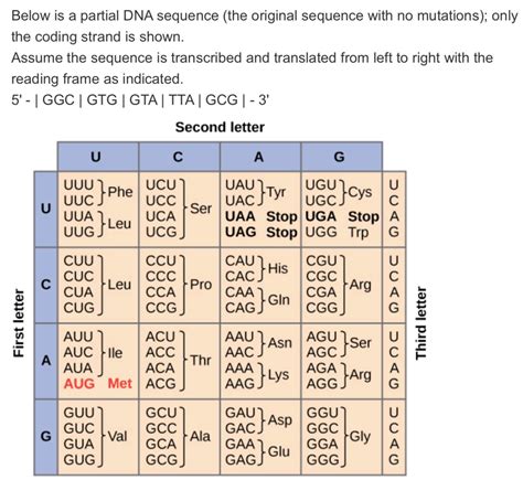 Problem Set 7 Mutations Diagram Quizlet
