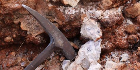 Dr Luke Mortimer Zum Neuen Chief Executive Officer Ernannt