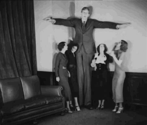 Wadlow Peacock Arne Hendriks Flickr