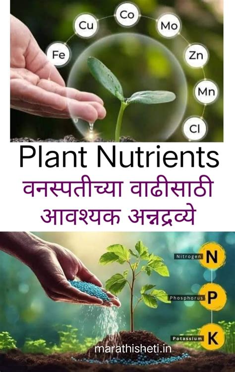 Plant Nutrition पीक पोषणासाठी आवश्यक अन्नद्रव्यांचे प्रकार व त्यांचे
