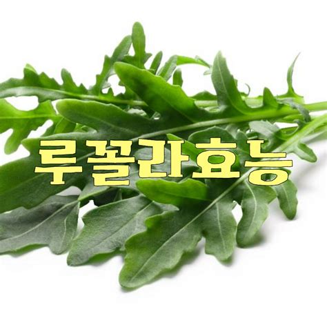 루꼴라 효능 영양성분 고르는법 부작용