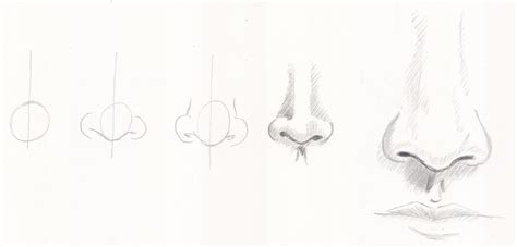 Aprende A Dibujar La Nariz Paso A Paso Hacia Una Nariz Realista
