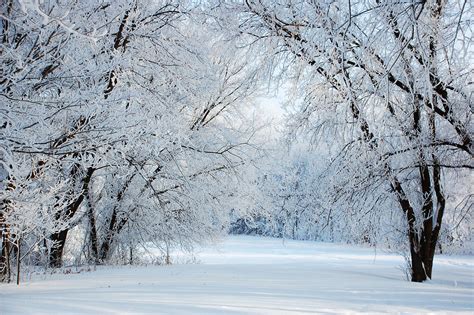 Christmas Winter Wonderland Wallpapers Top Free Christmas Winter Wonderland Backgrounds