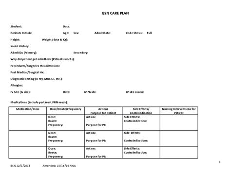 Bsn Care Plan Template Student Date Patients Initials Age Sex