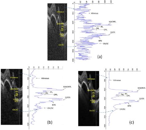 Figure 14 From Three Dimensional Data Driven Multi Scale Atomic
