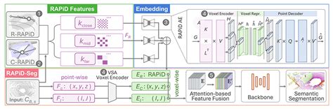 RAPiD Seg Range Aware Pointwise Distance Distribution Networks For D LiDAR Segmentation Prof