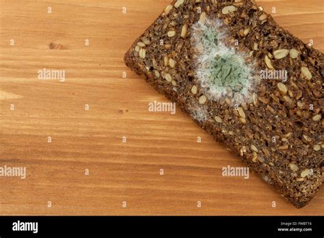 Penicillin Mold On Bread