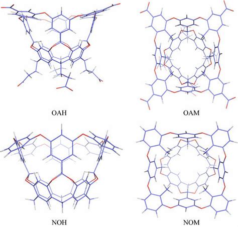 The Octa Acid Host Oah Side View And The Methylated Octa Acid Host Download Scientific