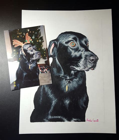 Pencils Nicolas Caputo Art