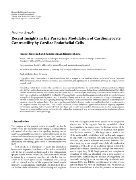 Pdf Recent Insights In The Paracrine Modulation Of Cardiomyocyte