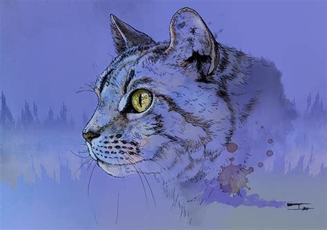 Grey Cat On Behance