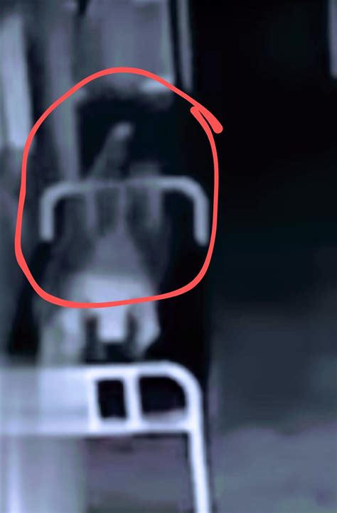 Ghost Ology 12 By Miramar By Miramar Jan 2024 Medium