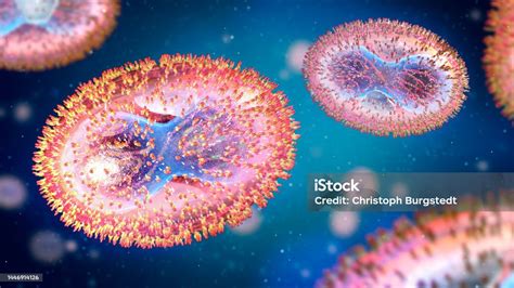Cross Section Of A Smallpox Pathogens With Cell Membrane Nucleocapsid