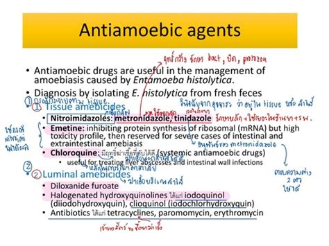 Antiparasite Flashcards Quizlet