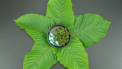 Different Color Kratom Strains And Where To Get Them