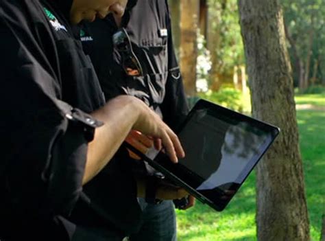 Tree Mitigation Dallas Tx Isa Certified Treenewal