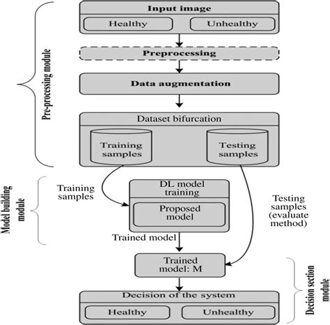 experimental method containing pre‐processing stage download