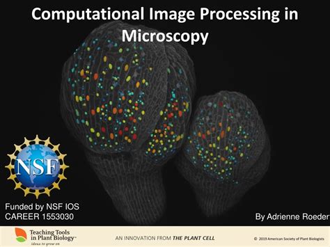 ppt computational image processing in microscopy powerpoint