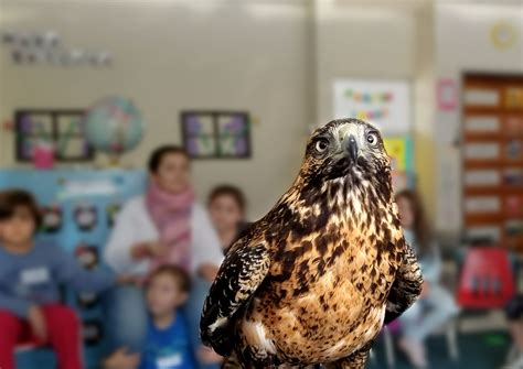 Proyectos Fundación Vida Silvestre