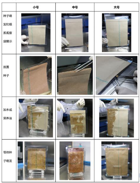 种子萌发袋，种子萌发观察袋 北京华越洋生物