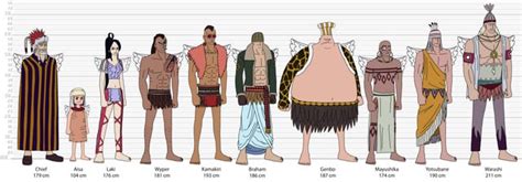 Size Comparison Of One Piece Characters From The Official 49 Off