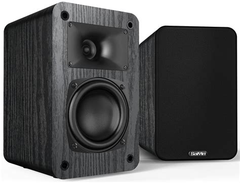 Desktop Passive Speakers At Caitlyn Buvelot Blog