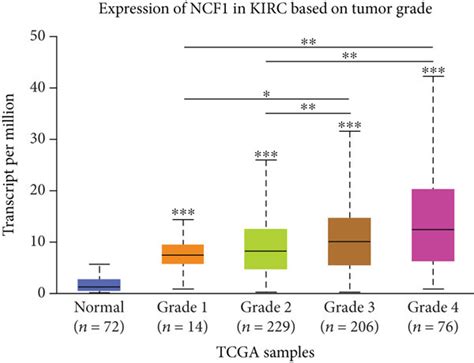 The Expression Levels Of Ncf1 Ncf2 And Ncf4 In Subgroups Of Patients