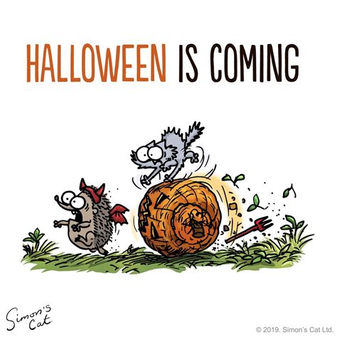 Simons Cat On Tumblr