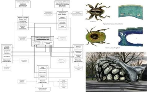 Figure 10 An Example Of Biomimetic Design Icd N D