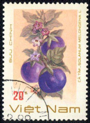 Vietnam Circa 1989 A Stamp Printed In Vietnam Shows A Solanum