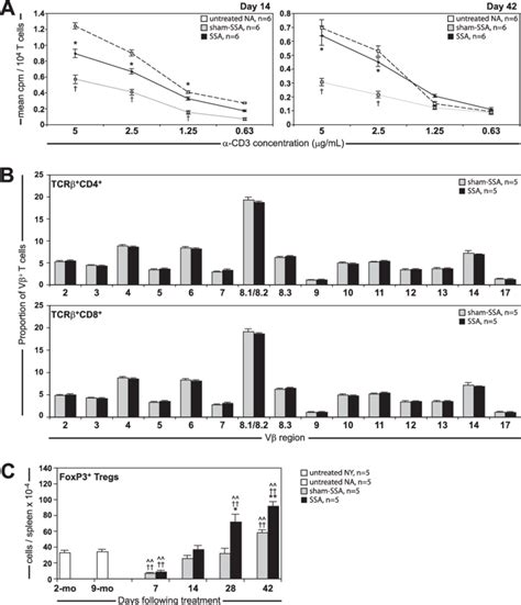 Enhanced Peripheral T Cells Following Ssa In Cy Treated Mice Is