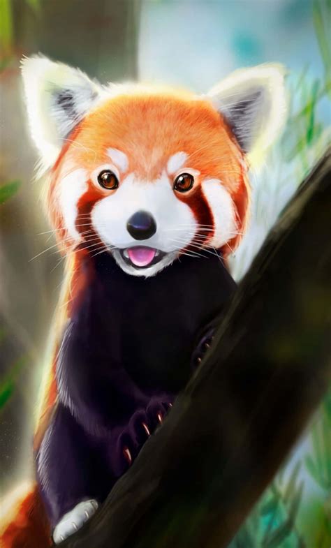 [200 ] Red Panda Pictures