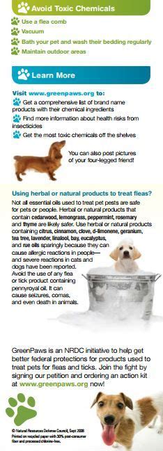 Natural Flea Control Methods