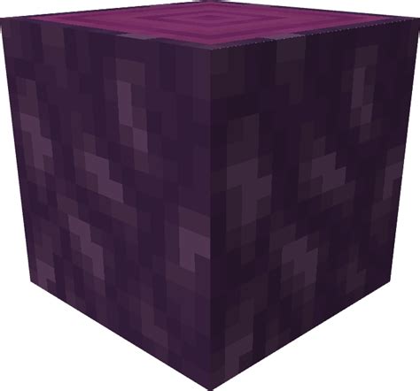 Minecraft End Update Addon 119 Mcpebedrock Mc Modnet