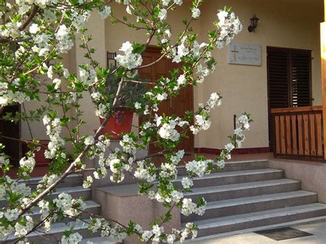 Nekros Umrli Osmrtnice Citulje Smrtovnice Umrlice Preminuli Groblja Ukop Ispraćaj Ahiret