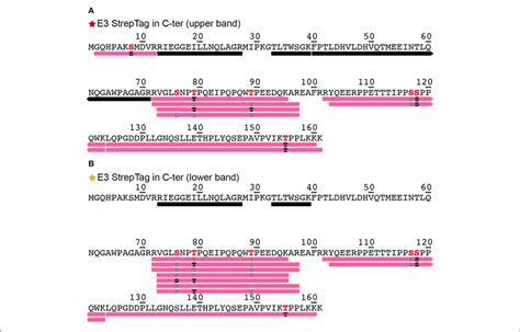 Identification By Mass Spectrometry Of Phosphorylation Sites Shown On