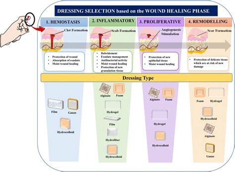 Examples Of Moist Wound Healing Techniques And Dressings All For One