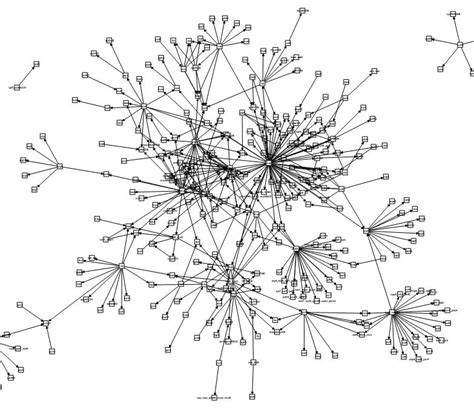 A Transcription Network That Represent About 10 Of The Transcription