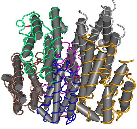 What Are Interferons Cosmicnootropic