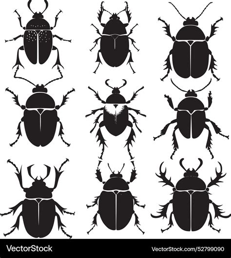 Bug Insect Royalty Free Vector Image Vectorstock