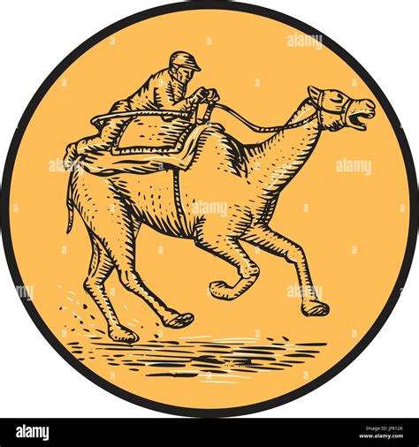 Camel Racing Jockey Stock Vector Images Alamy