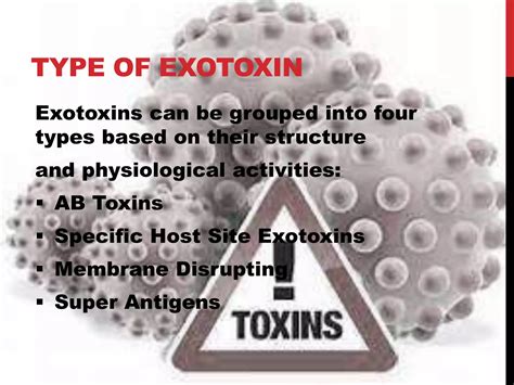 Toxins Pptx