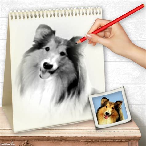 Lassie Jr 1951 1970 Find A Grave Memorial