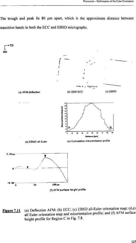 11 A Deflection A F M B E C C C E B S D All Euler Orientation